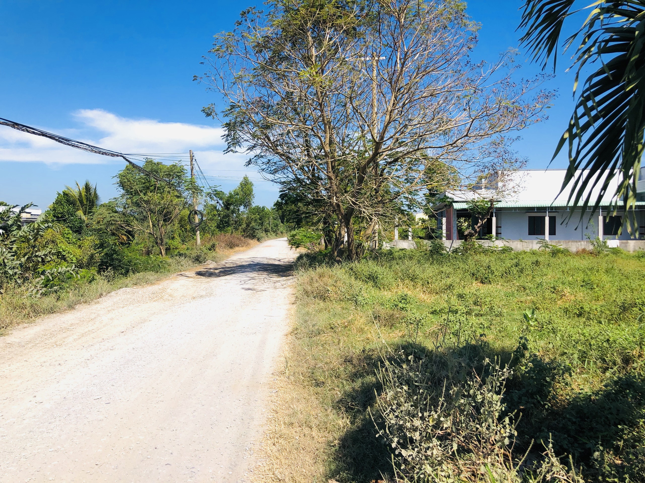 dat-lon-duong-830-xa-my-le